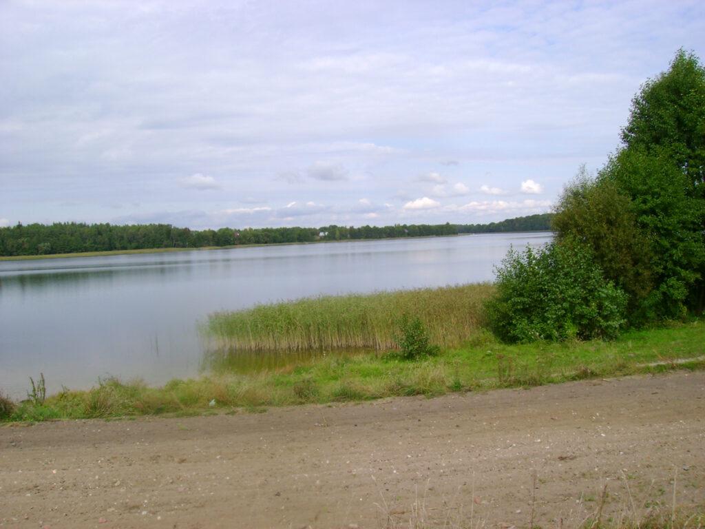 Sigitas Birgelis. Paslaptingumo aureole apgaubti Klevai - Dzūkų žinios